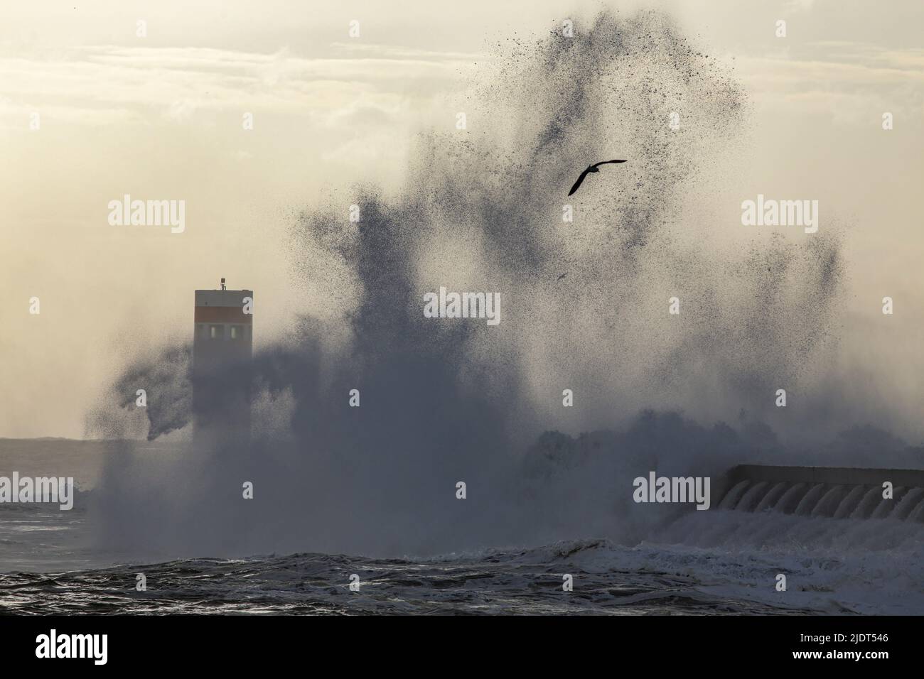 Backlit big wave splash at sunset. Douro river mouth south pier and ...