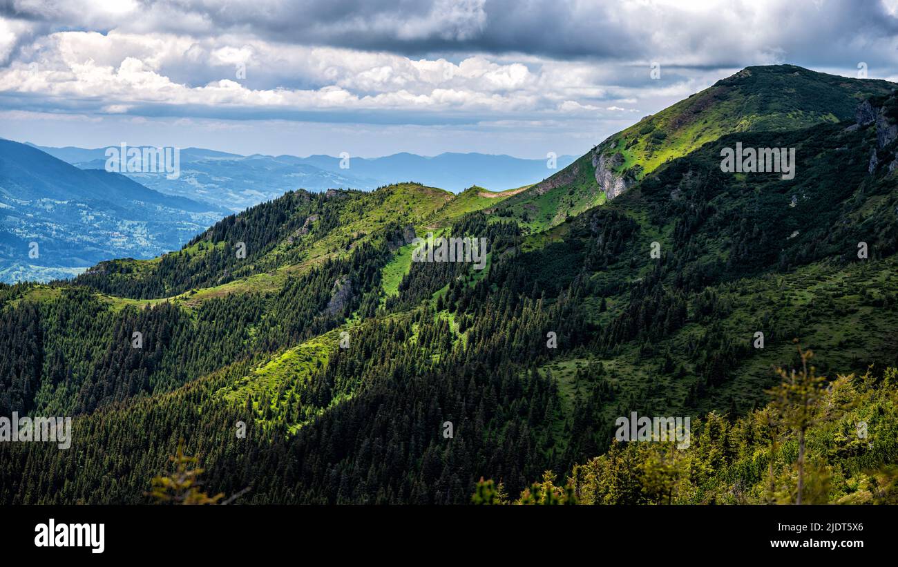 Mt. Cearcanul, Maramures Mountains Natural Park, Carpathians, Romania ...