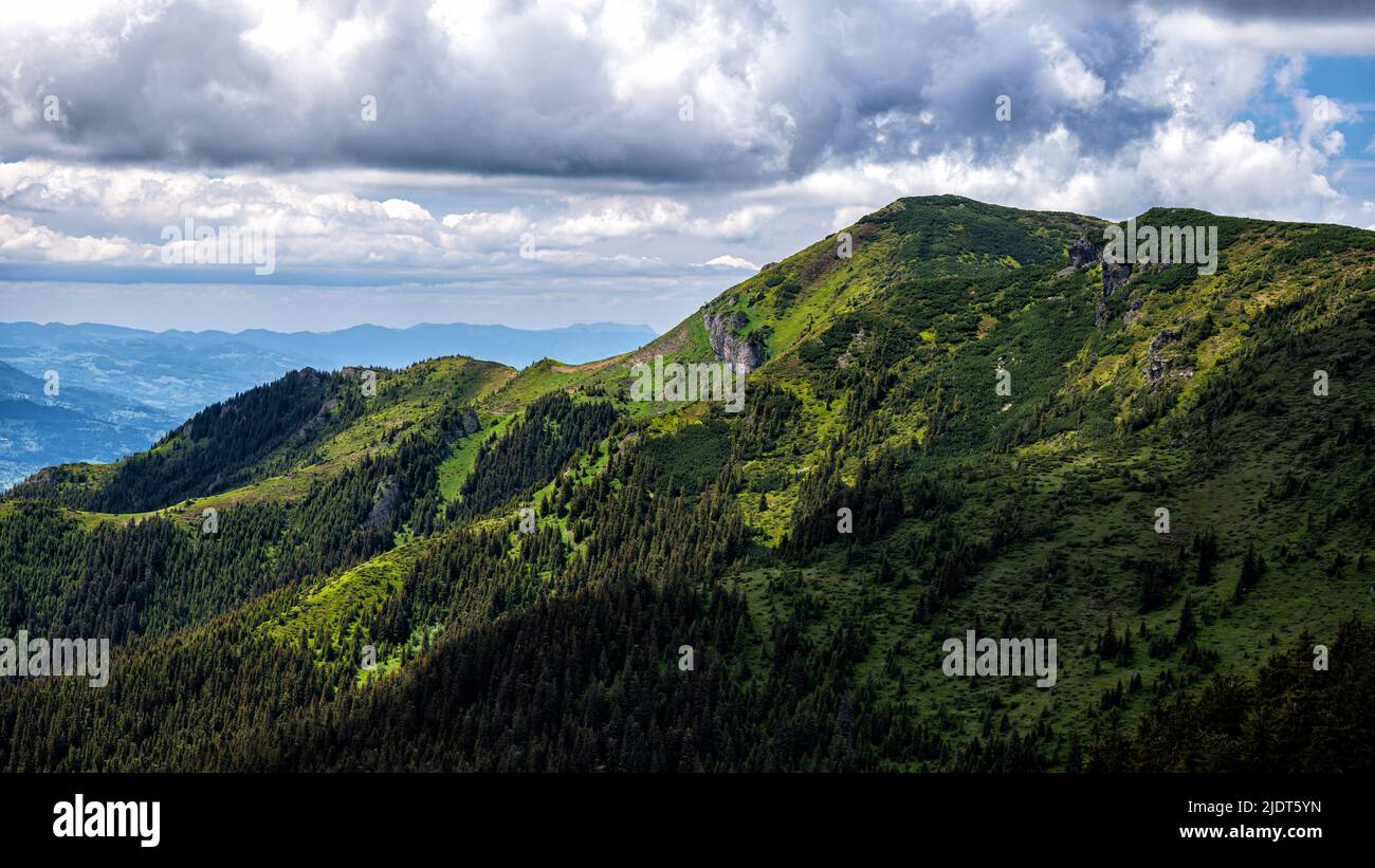 Mt. Cearcanul, Maramures Mountains Natural Park, Carpathians, Romania ...