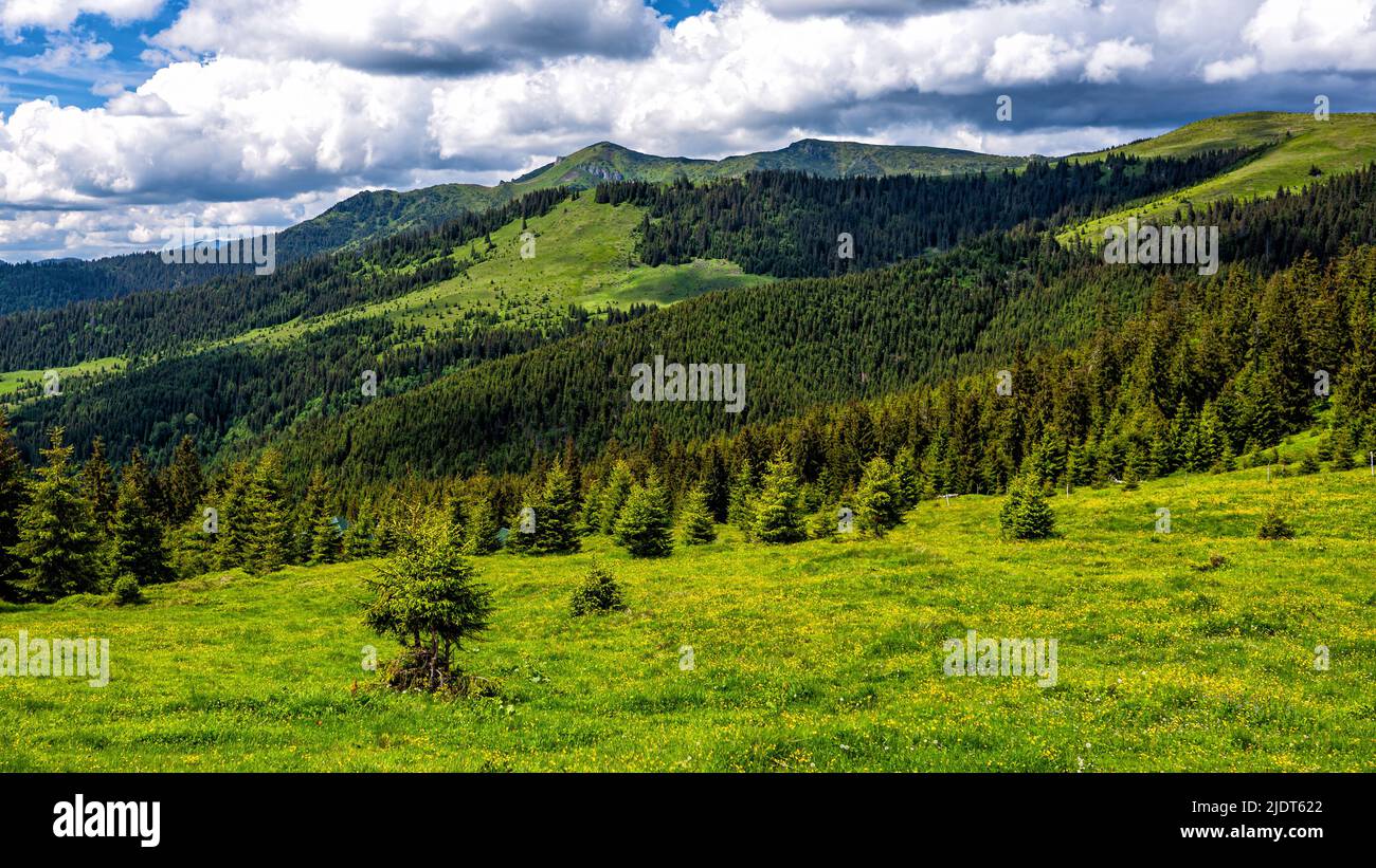 Maramures mountains hi-res stock photography and images - Alamy