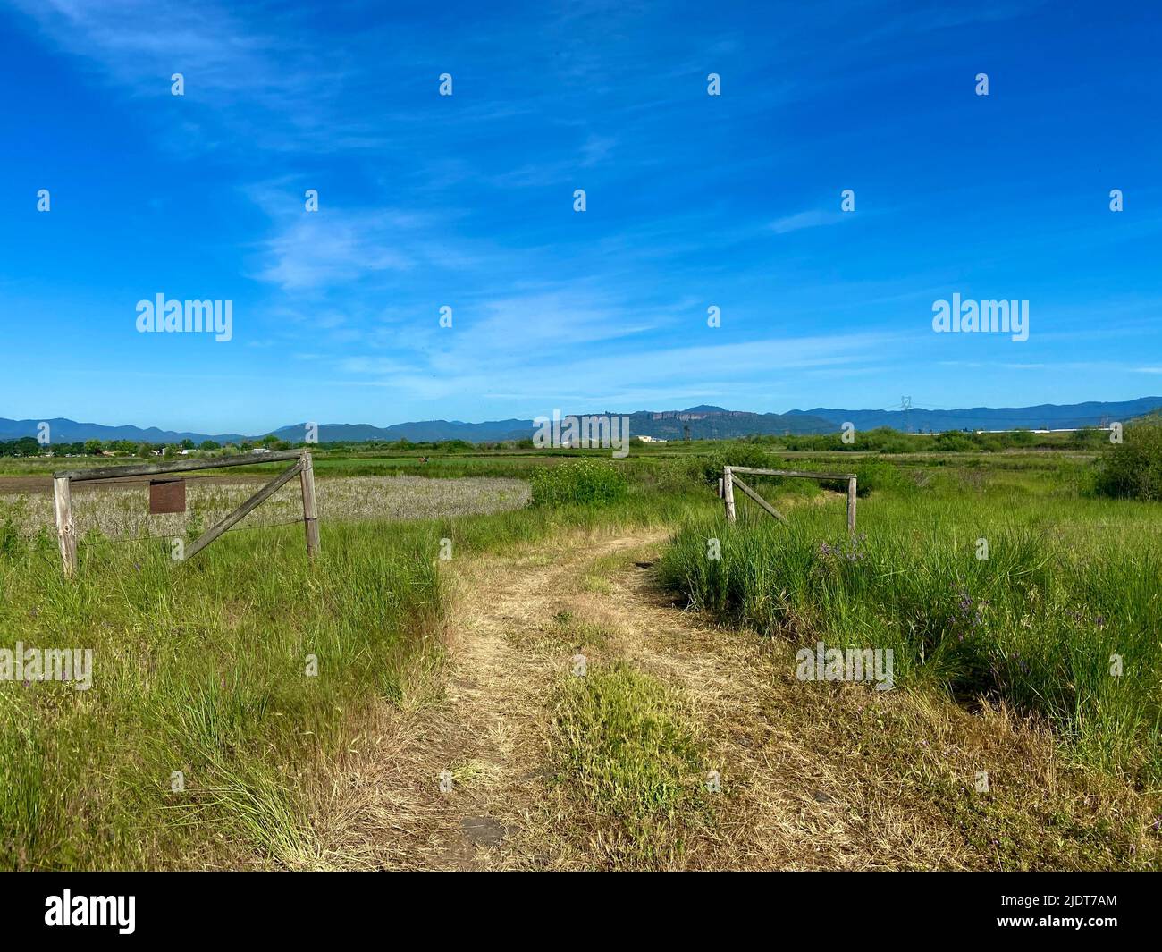 Dirt road entering in through an open gate into a lush green field out ...