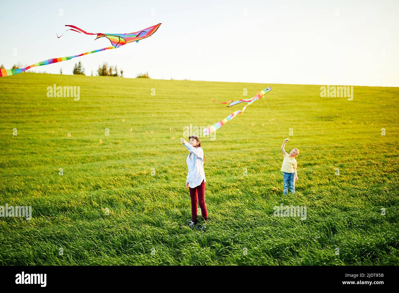 Happy children launch a kite in the field. Little boy and girl on ...