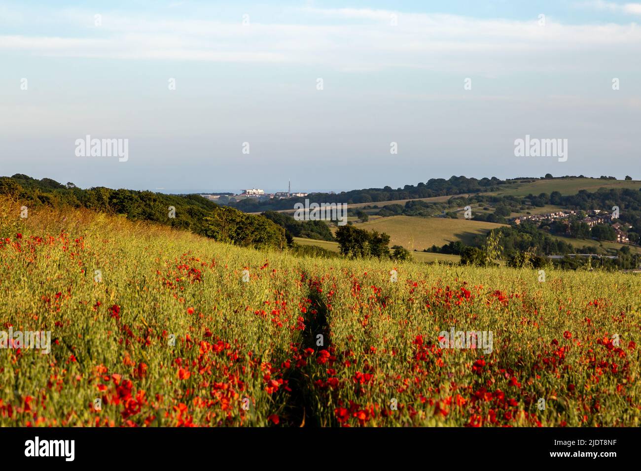 Brighton racecourse hi-res stock photography and images - Alamy
