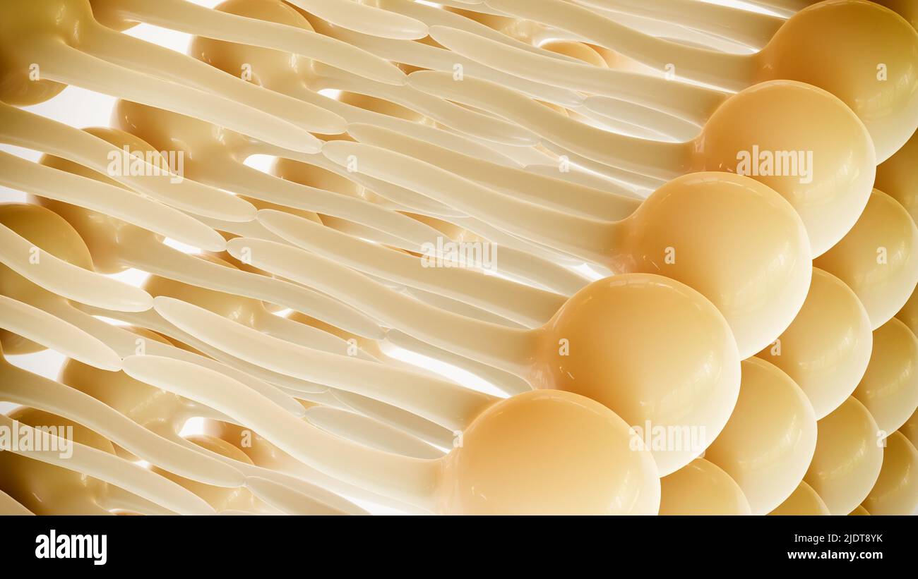 3D rendering lipid bi-layer cell anatomy - 3D Rendering Stock Photo - Alamy