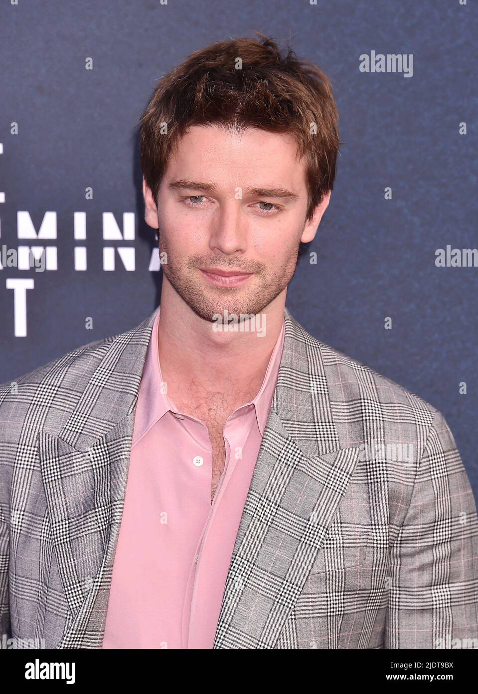 LOS ANGELES, CA - JUNE 22: Patrick Schwarzenegger attends "The Terminal ...