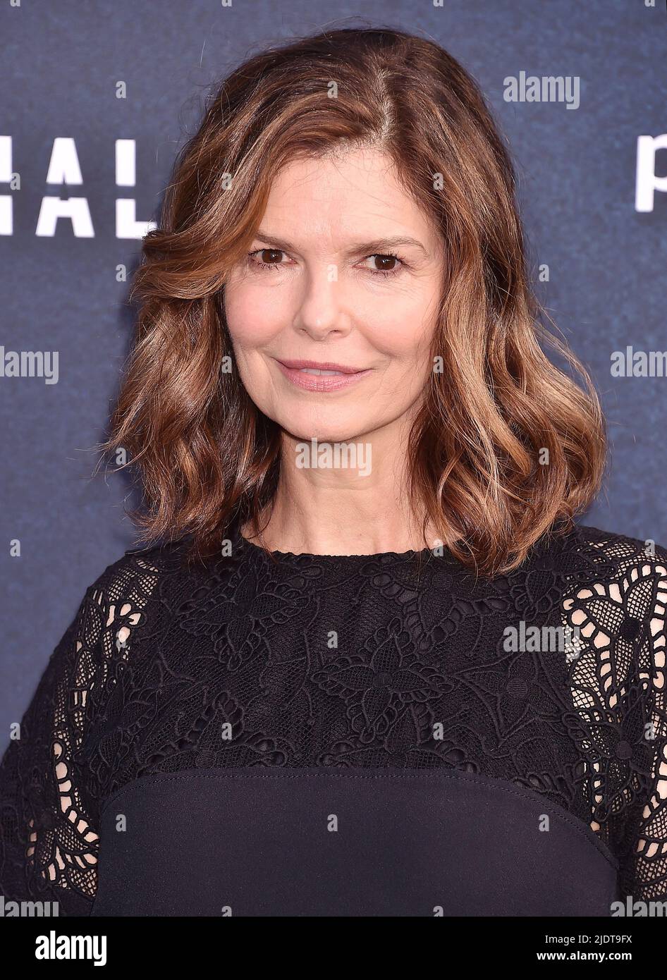 LOS ANGELES, CA - JUNE 22: Jeanne Tripplehorn attends "The Terminal ...