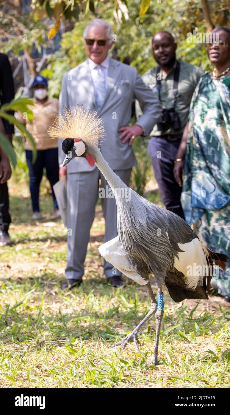 The Prince of Wales at Umusambi Village, Kigali's first and only ...