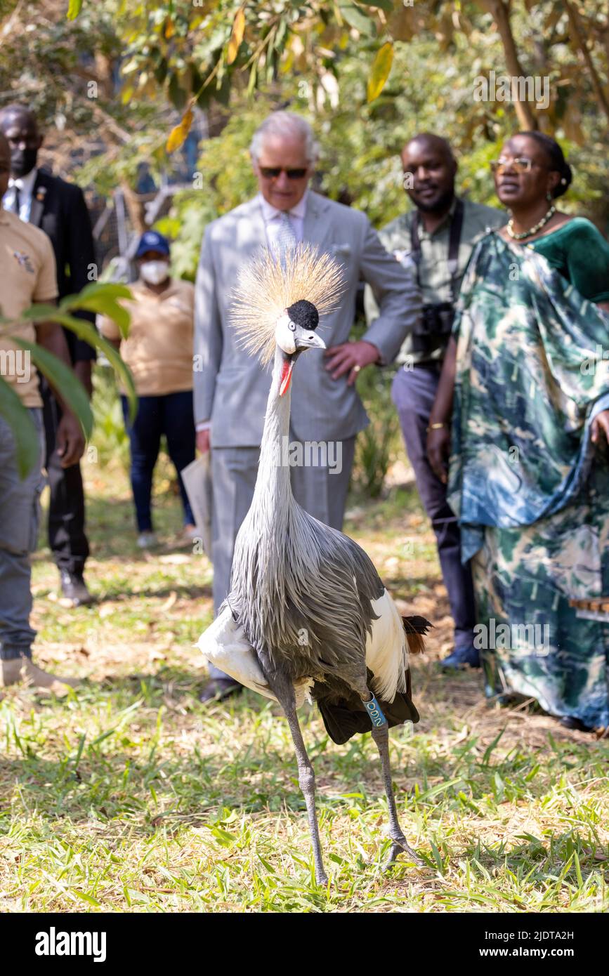 The Prince of Wales at Umusambi Village, Kigali's first and only ...