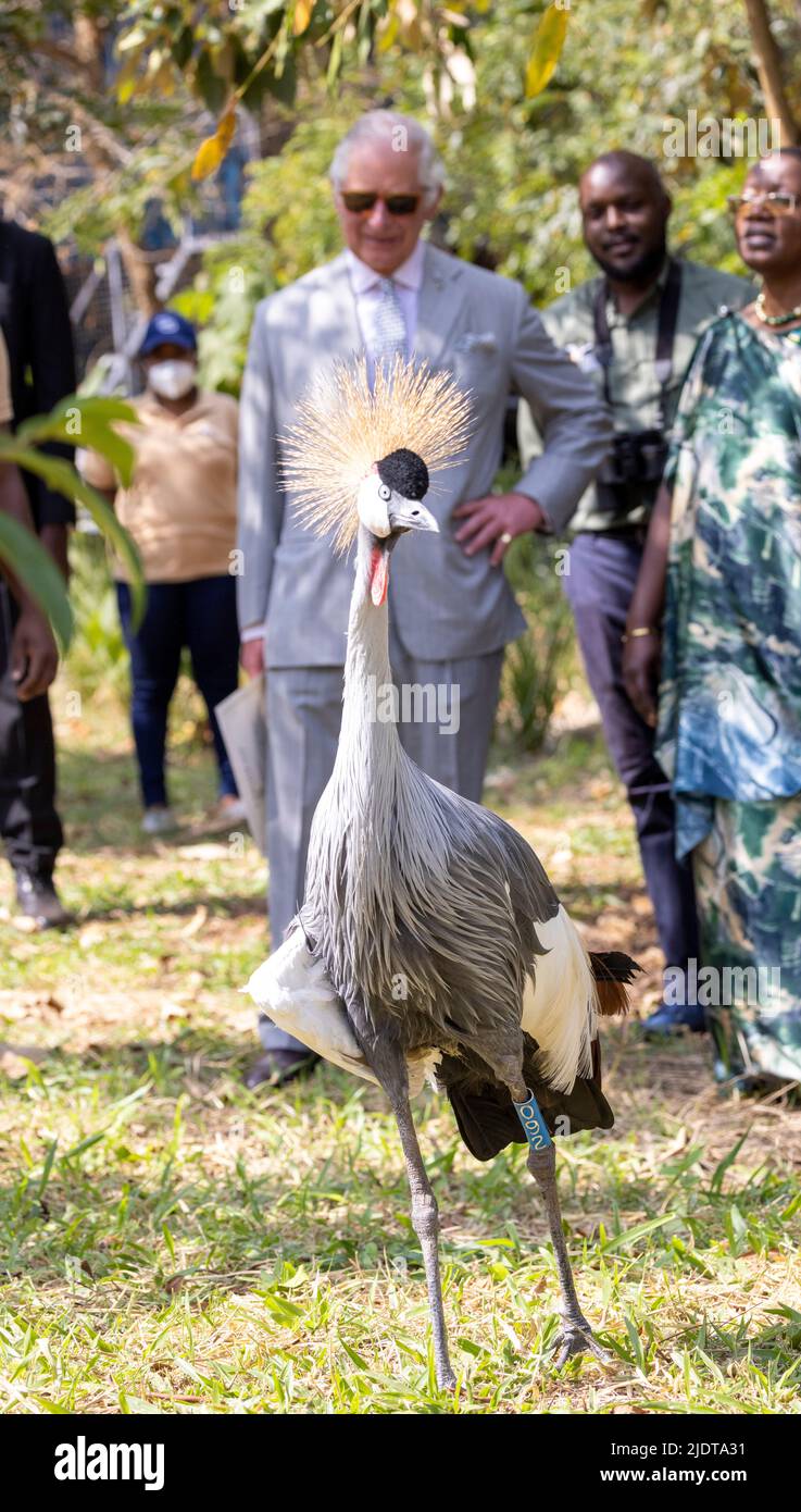 The Prince of Wales at Umusambi Village, Kigali's first and only ...