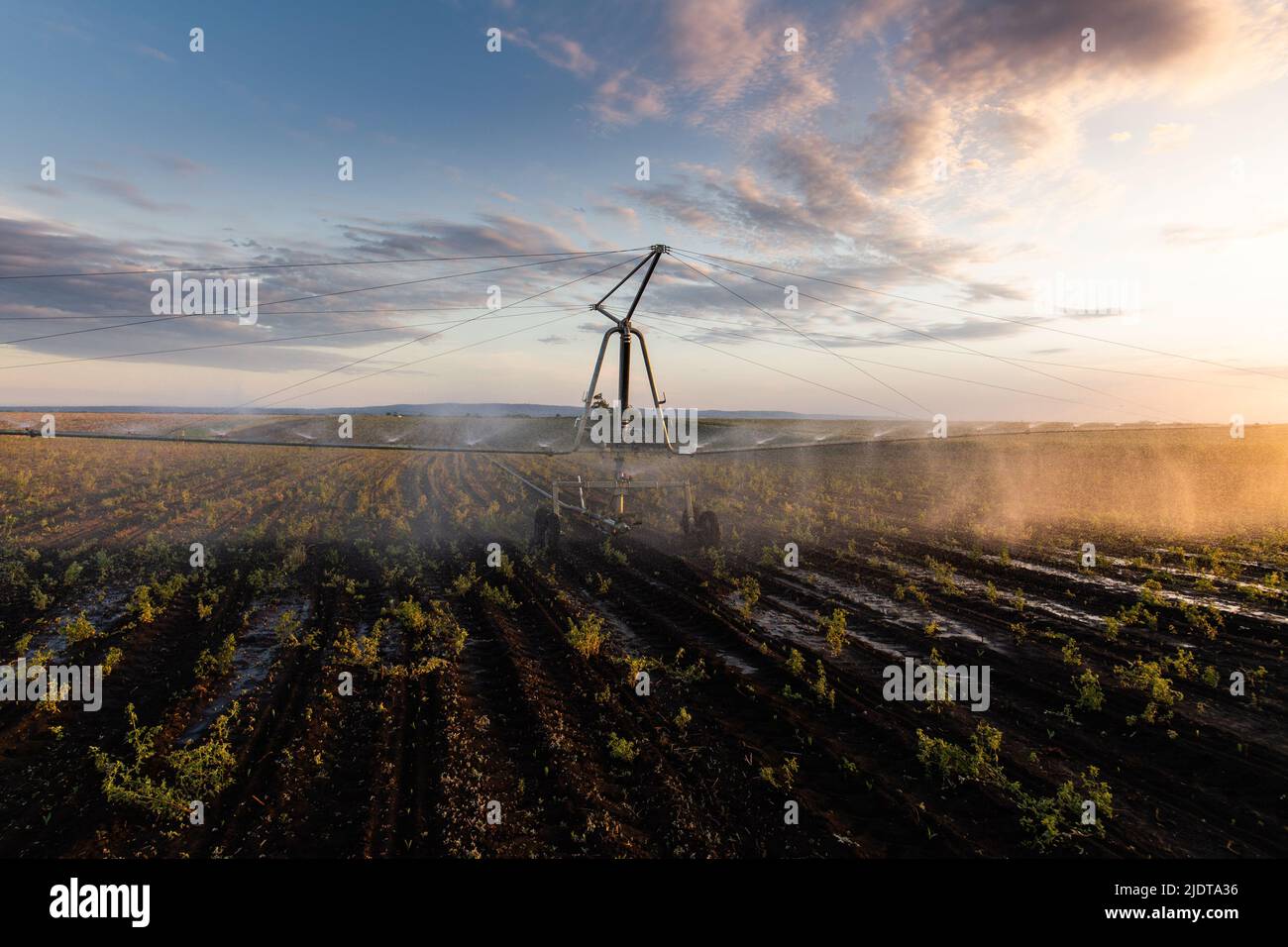 Modern irrigation system watering crops farmland farm field sprinkler ...