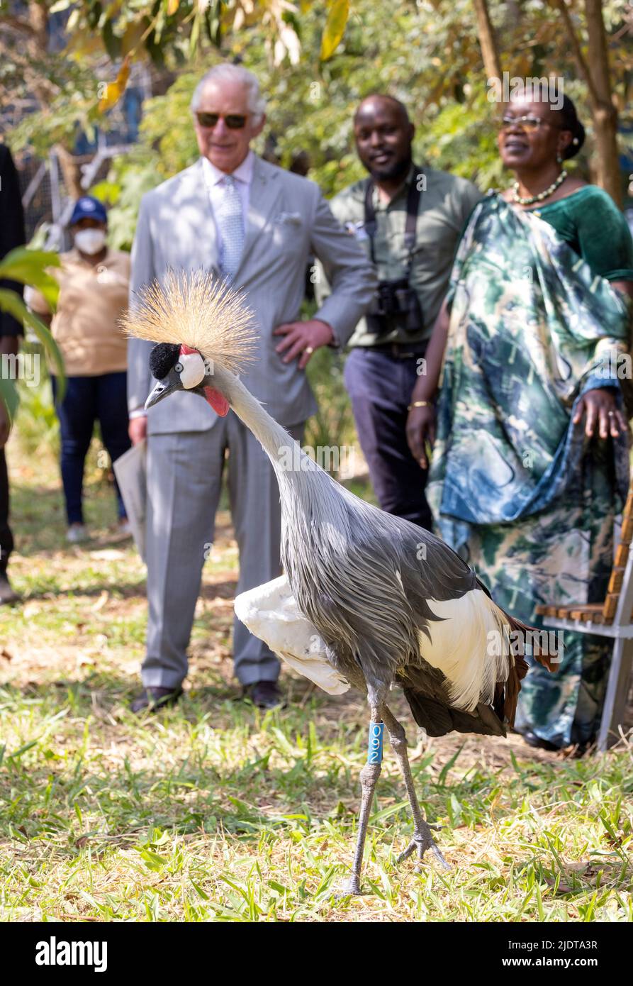 The Prince of Wales at Umusambi Village, Kigali's first and only ...