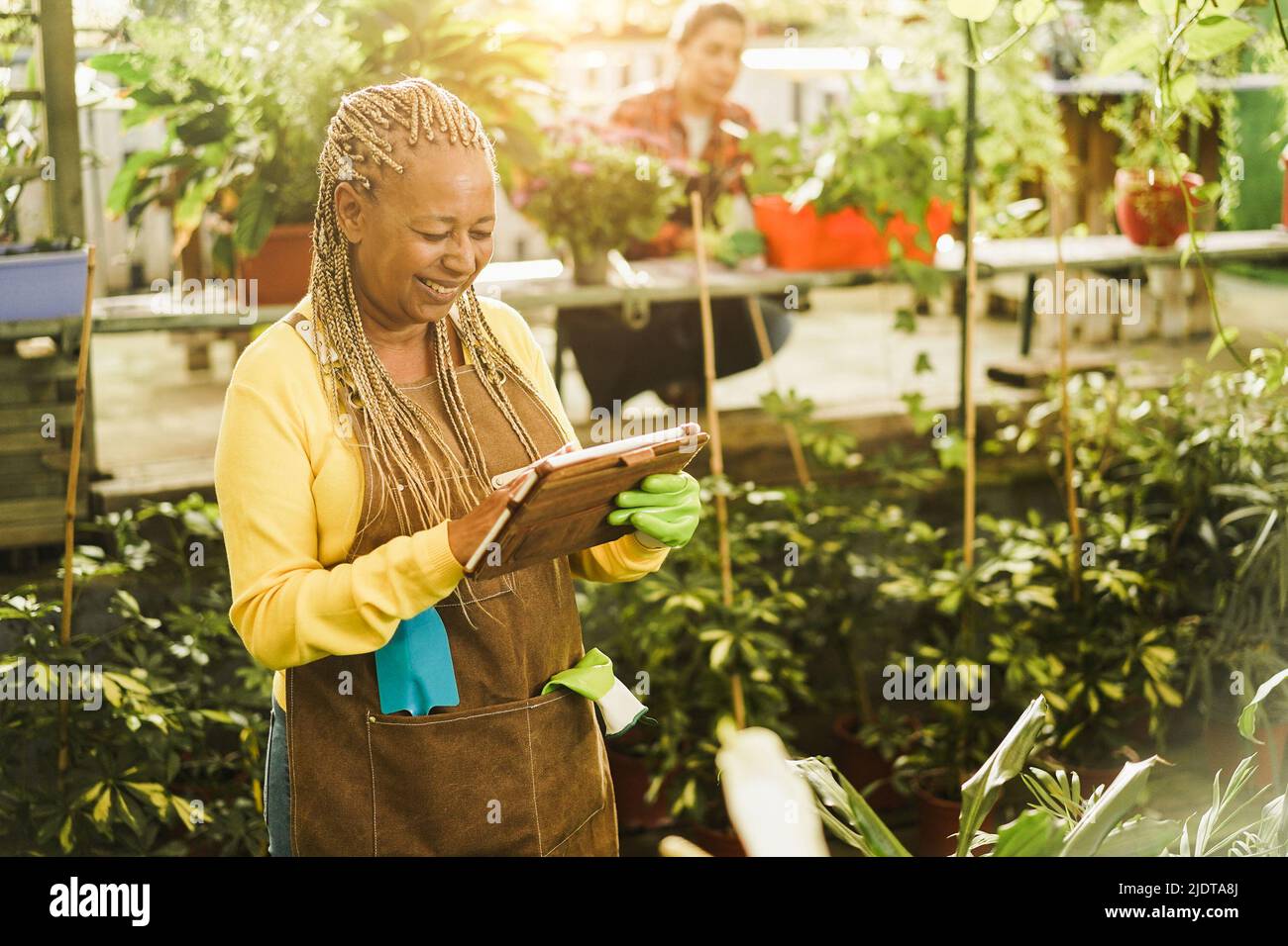 Multiracial women working inside glasshouse garden market - Focus on ...