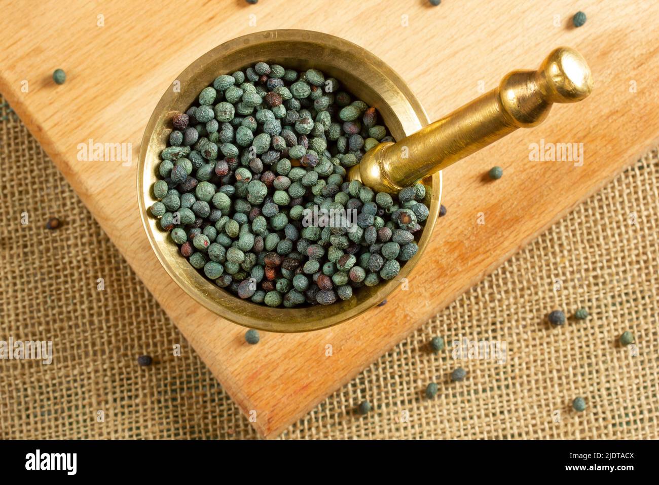 Fruits of Terebinth, Pistacia terebinthus Stock Photo - Alamy