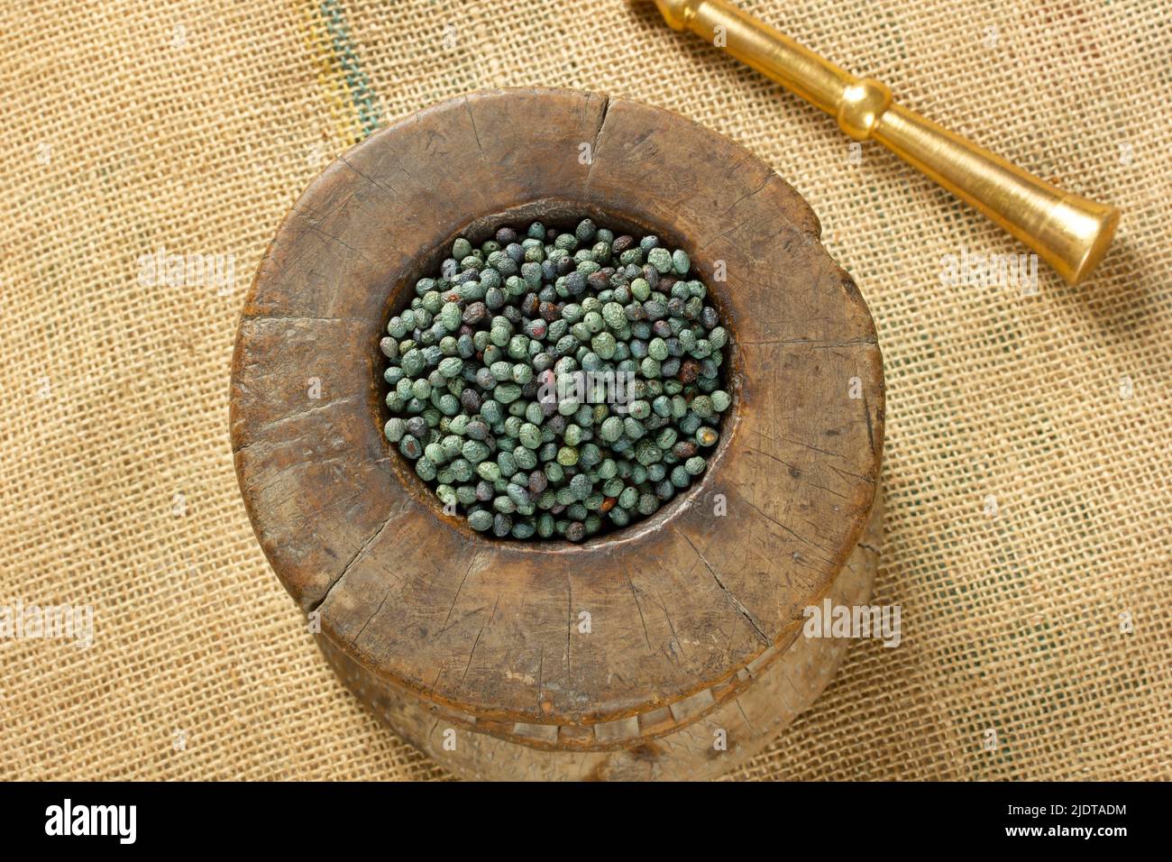 Fruits of Terebinth, Pistacia terebinthus. Antique mortar Stock Photo ...