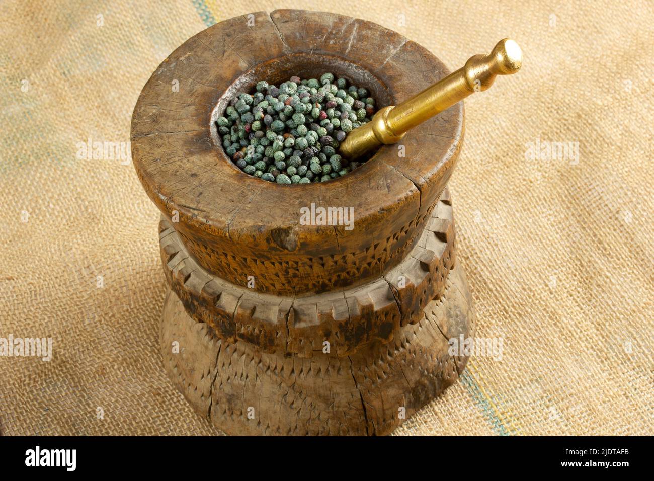 Fruits of Terebinth, Pistacia terebinthus. Antique mortar Stock Photo ...