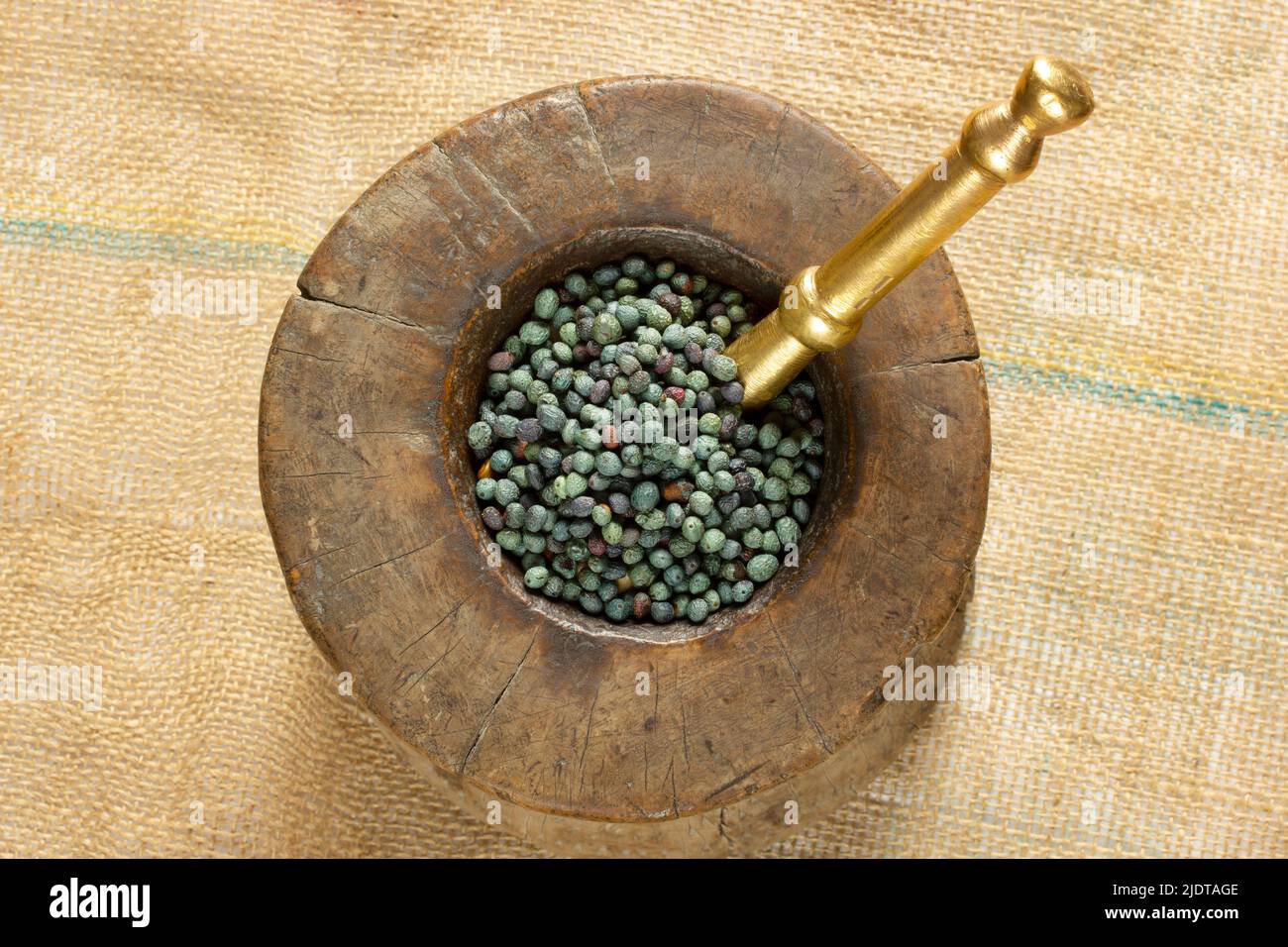 Fruits of Terebinth, Pistacia terebinthus. Antique mortar Stock Photo ...