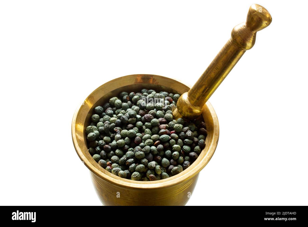 Fruits of Terebinth, Pistacia terebinthus Stock Photo - Alamy