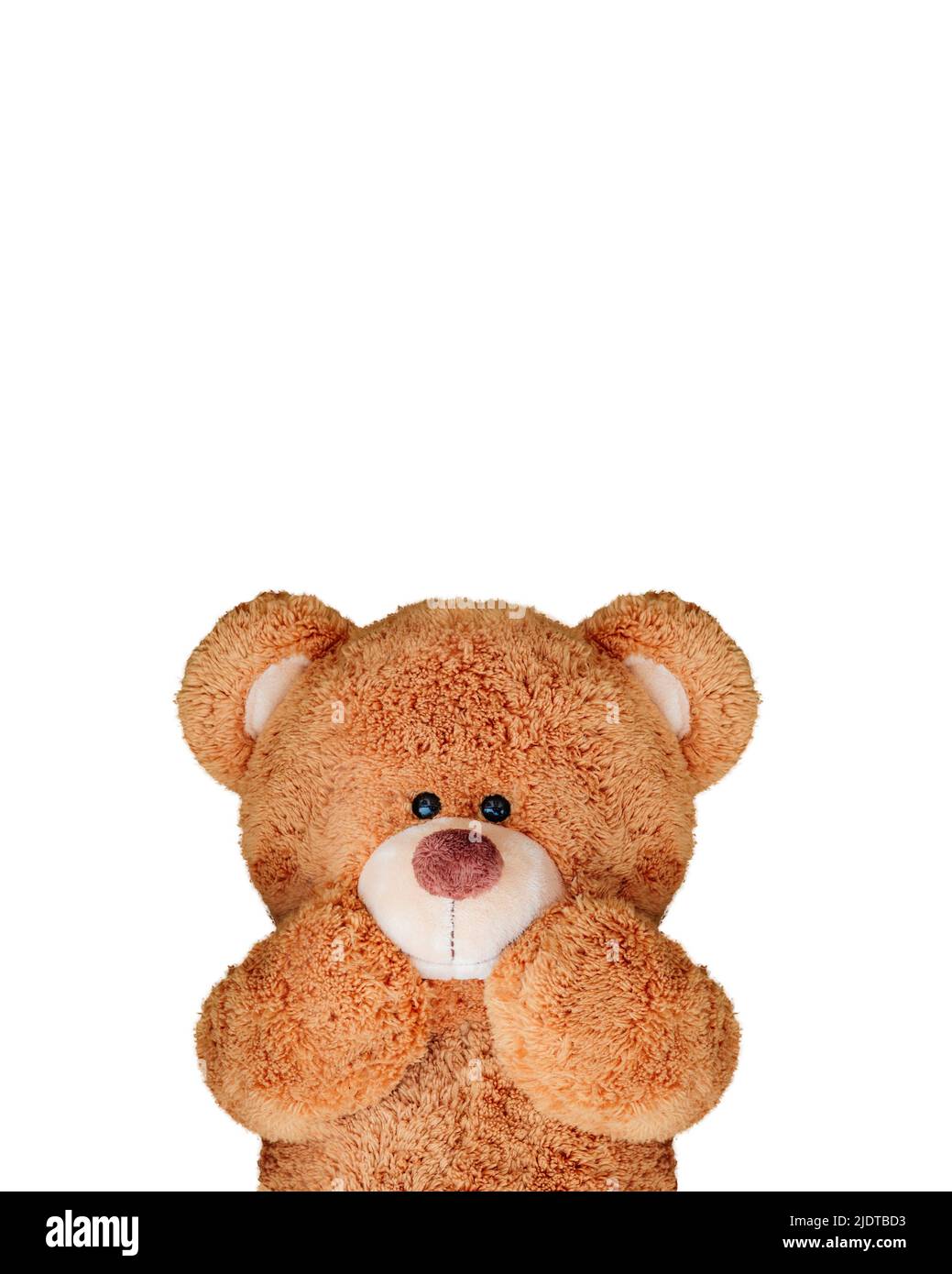 Cute teddy bear isolated on white background Stock Photo - Alamy