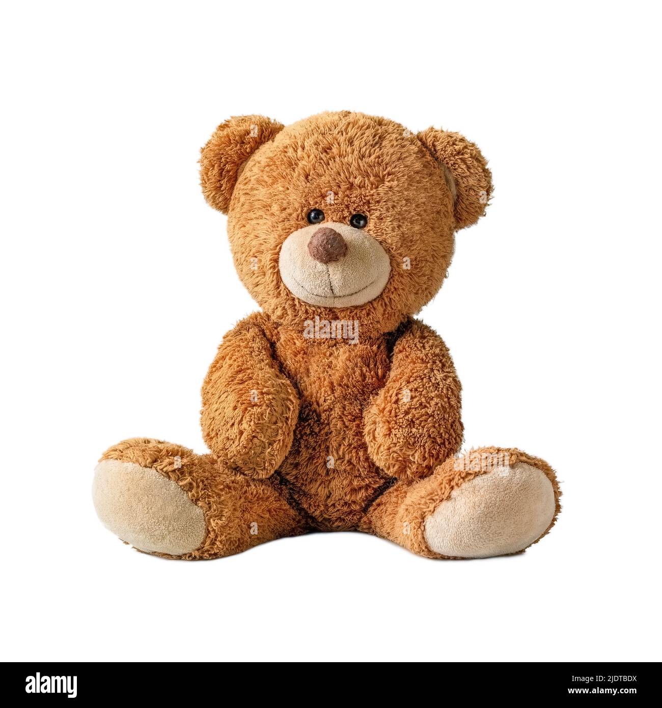 Cute teddy bear isolated on white background Stock Photo - Alamy