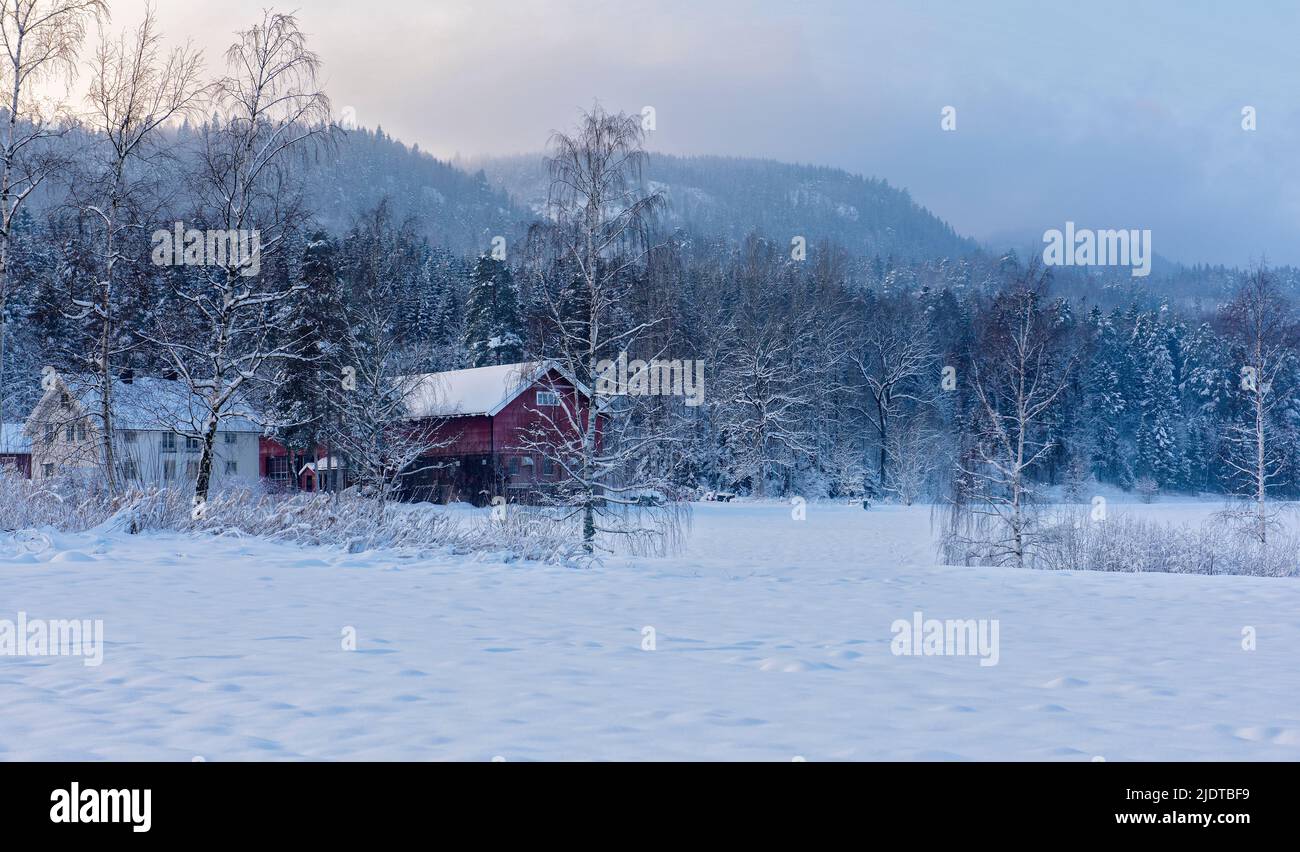 Norwegian mid-winter farm in Sande, Vestfold, Norway Stock Photo - Alamy