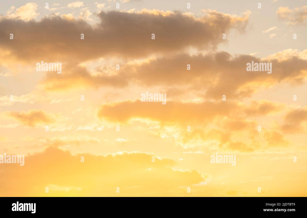 Cumulus clouds against pale golden sky at sunrise Stock Photo - Alamy