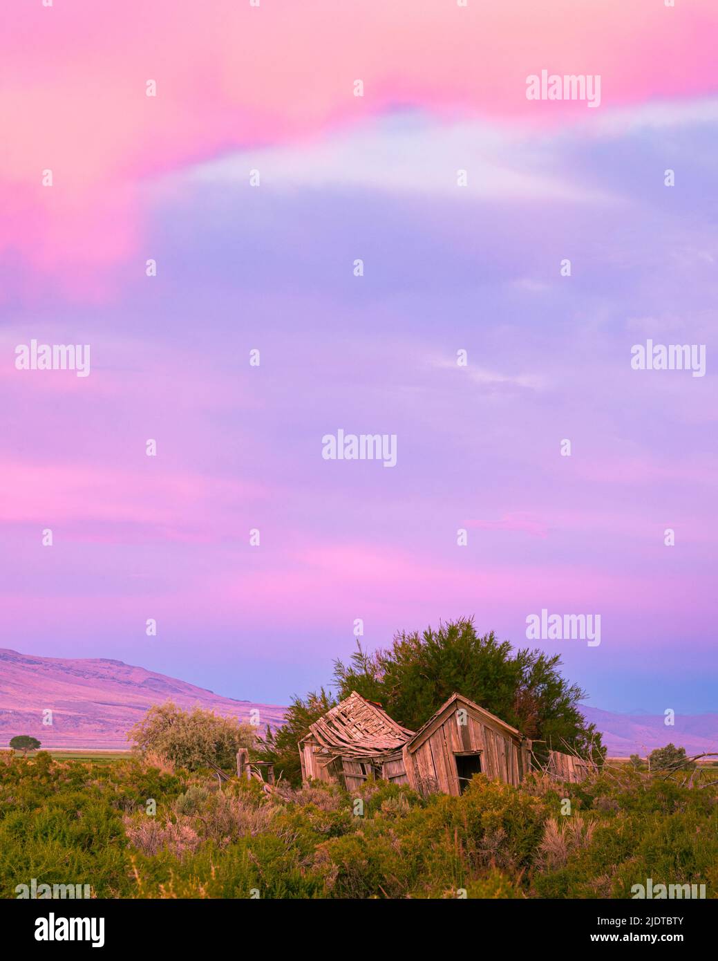 Abandoned cabin hi-res stock photography and images - Alamy
