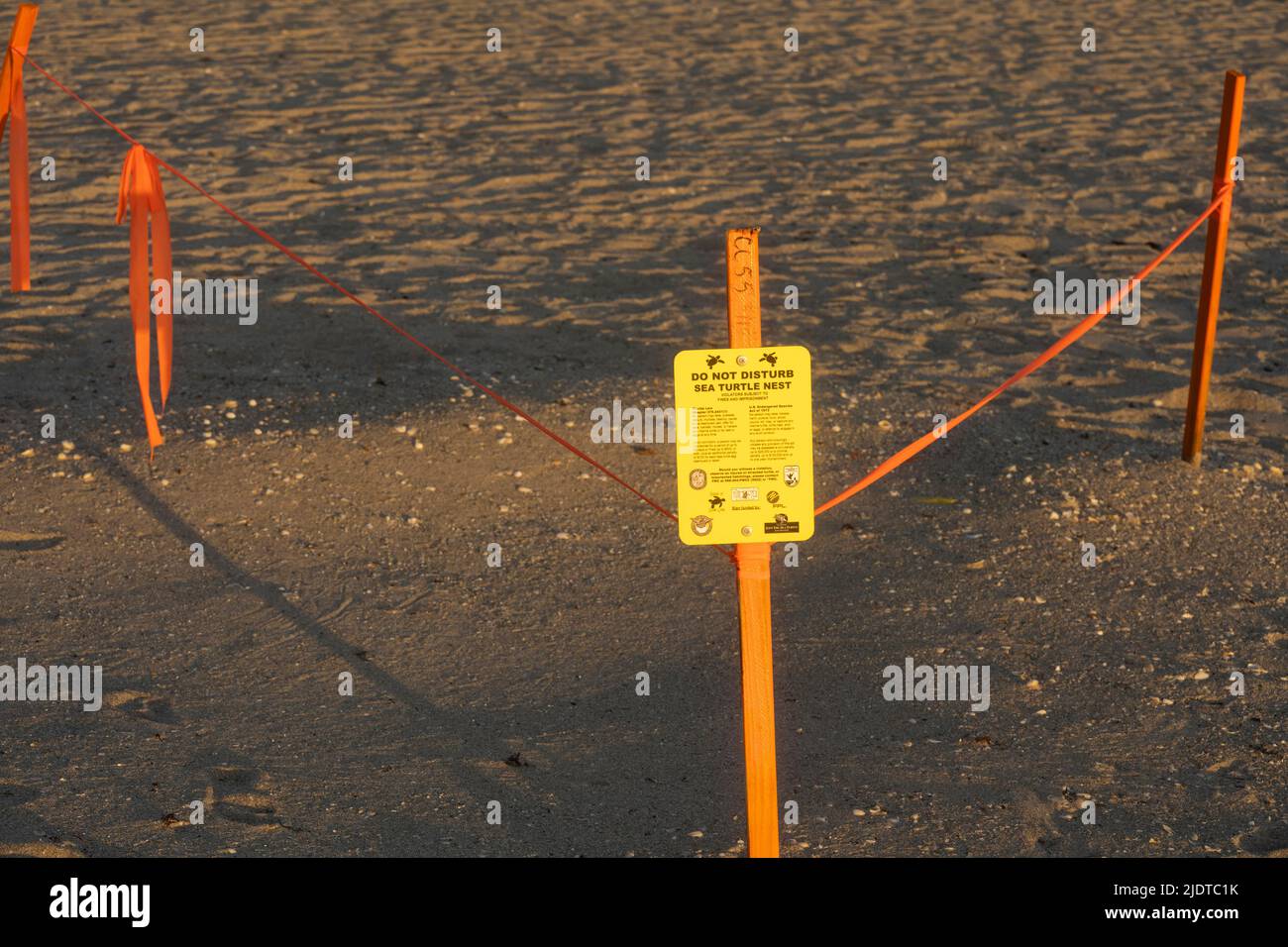 Turtle nesting warning sign hi-res stock photography and images - Alamy