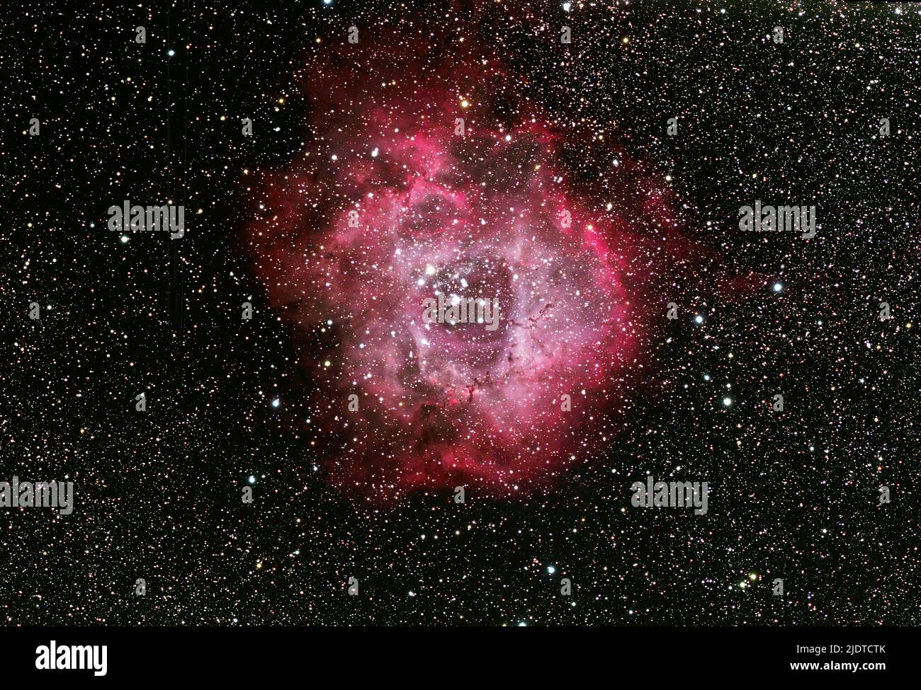 The Rosette Nebula (Caldwell 49) in the constellation Monoceros. The ...