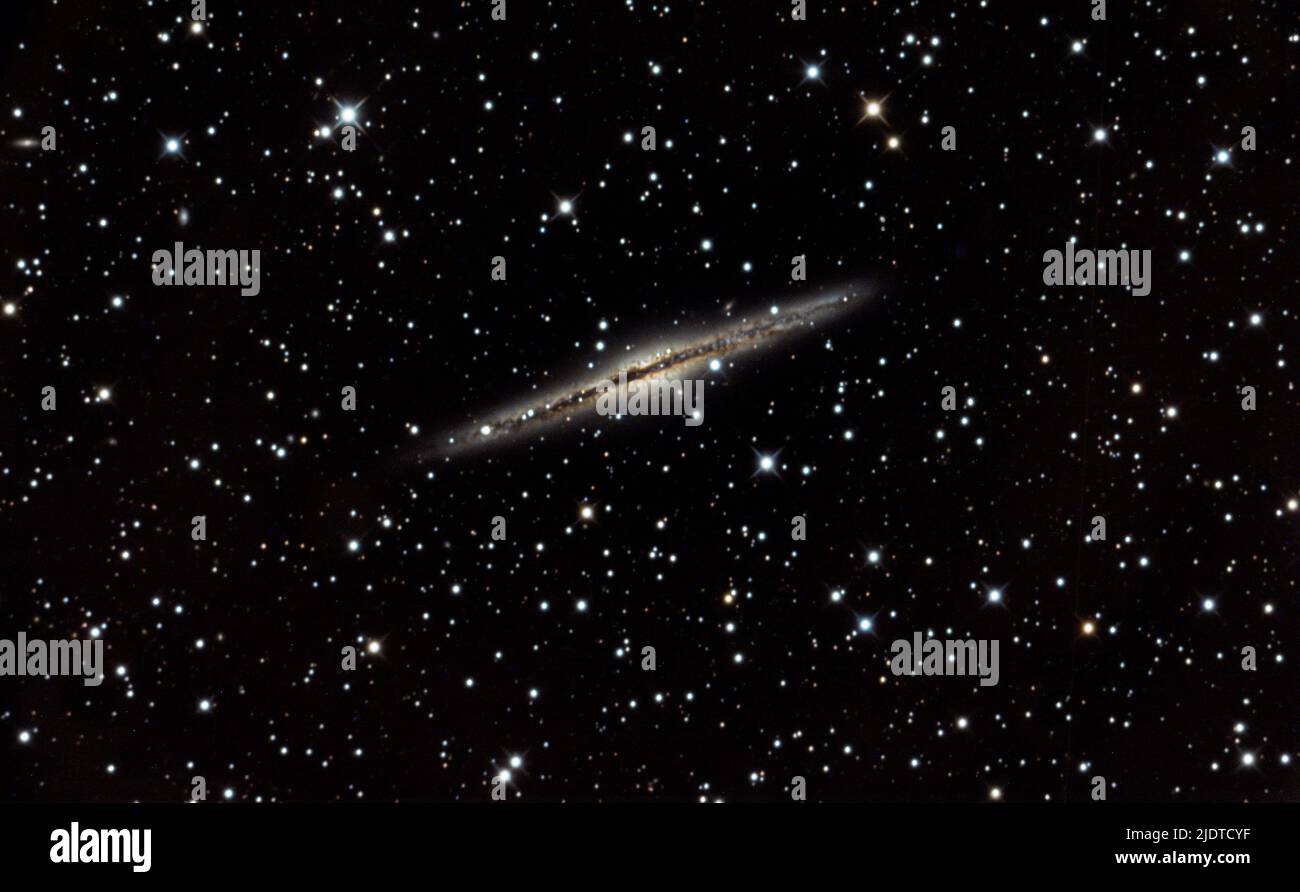 The edge on spiral Silver Silver Galaxy (NGC891) in constellation ...