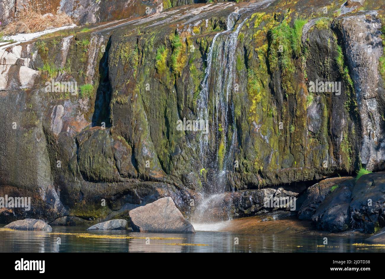 Small stream running over algae- and moss-covered rock in Trollfjorden ...