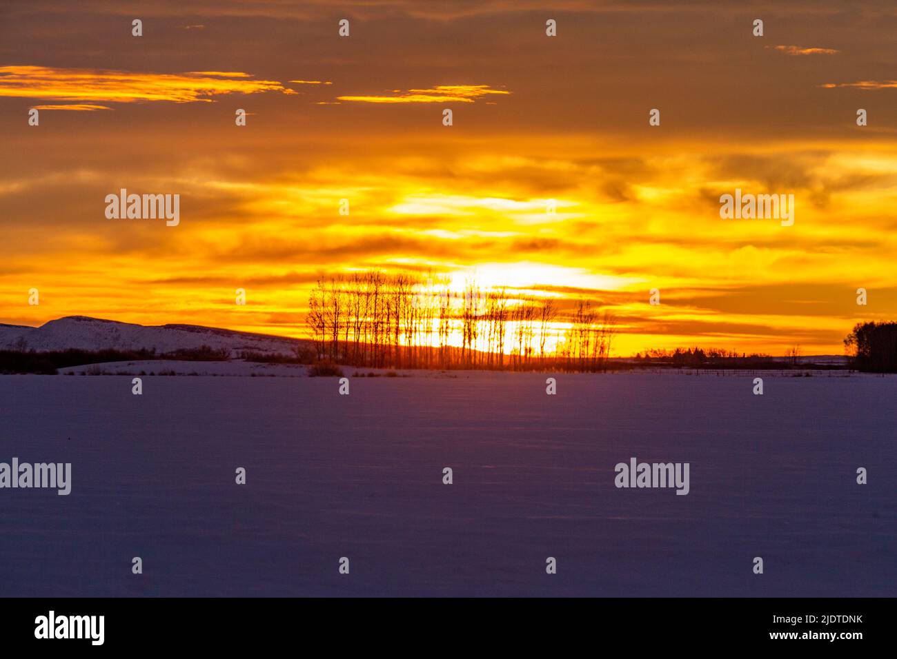 USA, Idaho, Bellevue, Sun rising over snow covered field Stock Photo ...
