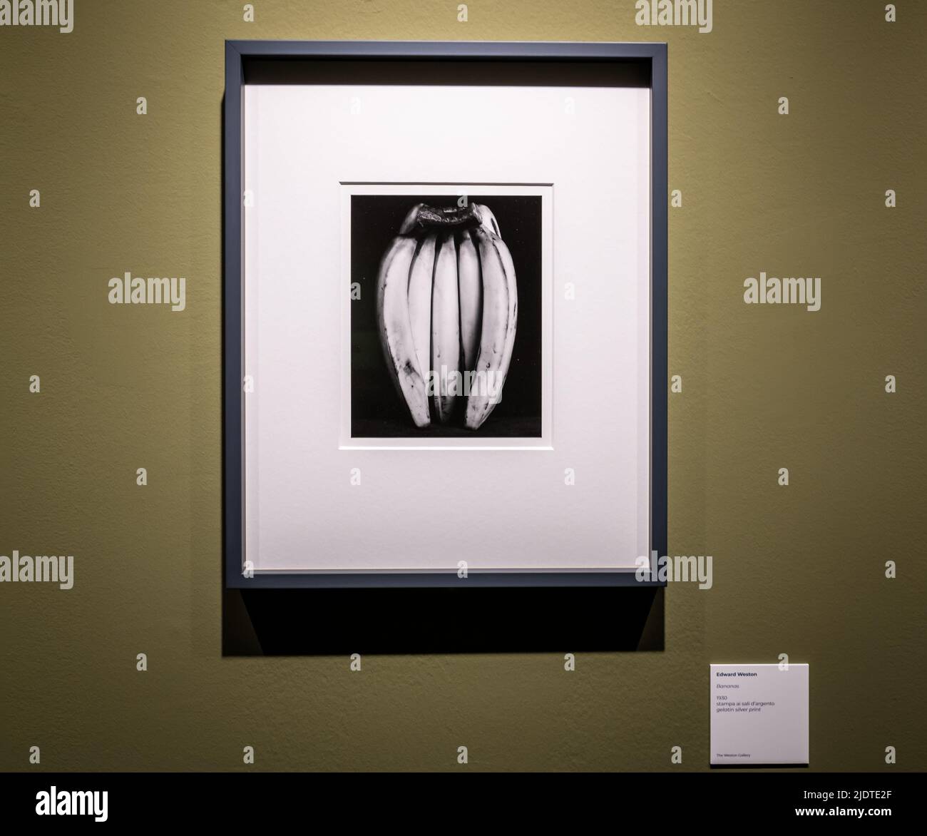 American photographer edward weston hi-res stock photography and images ...