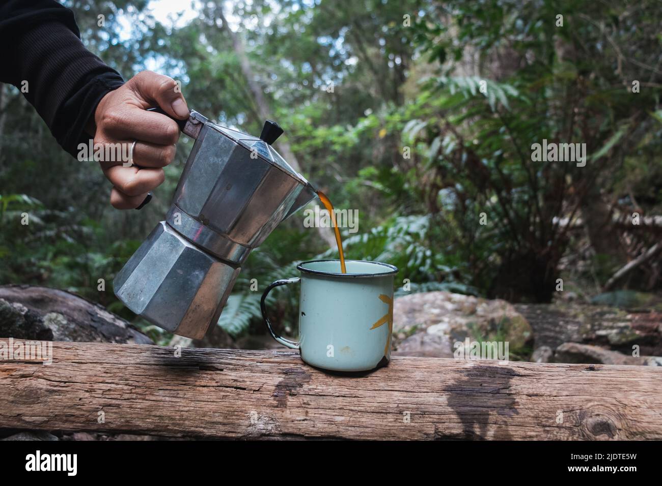 Coffee forest hi-res stock photography and images - Alamy
