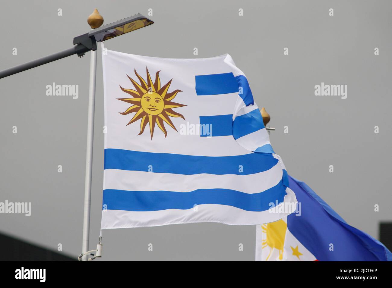 The flag of Uruguay seen in the gallery of flags of the participating ...