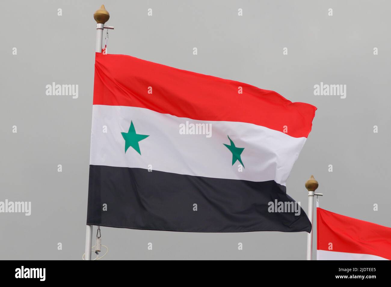 The flag of Syria seen in the gallery of flags of the participating ...