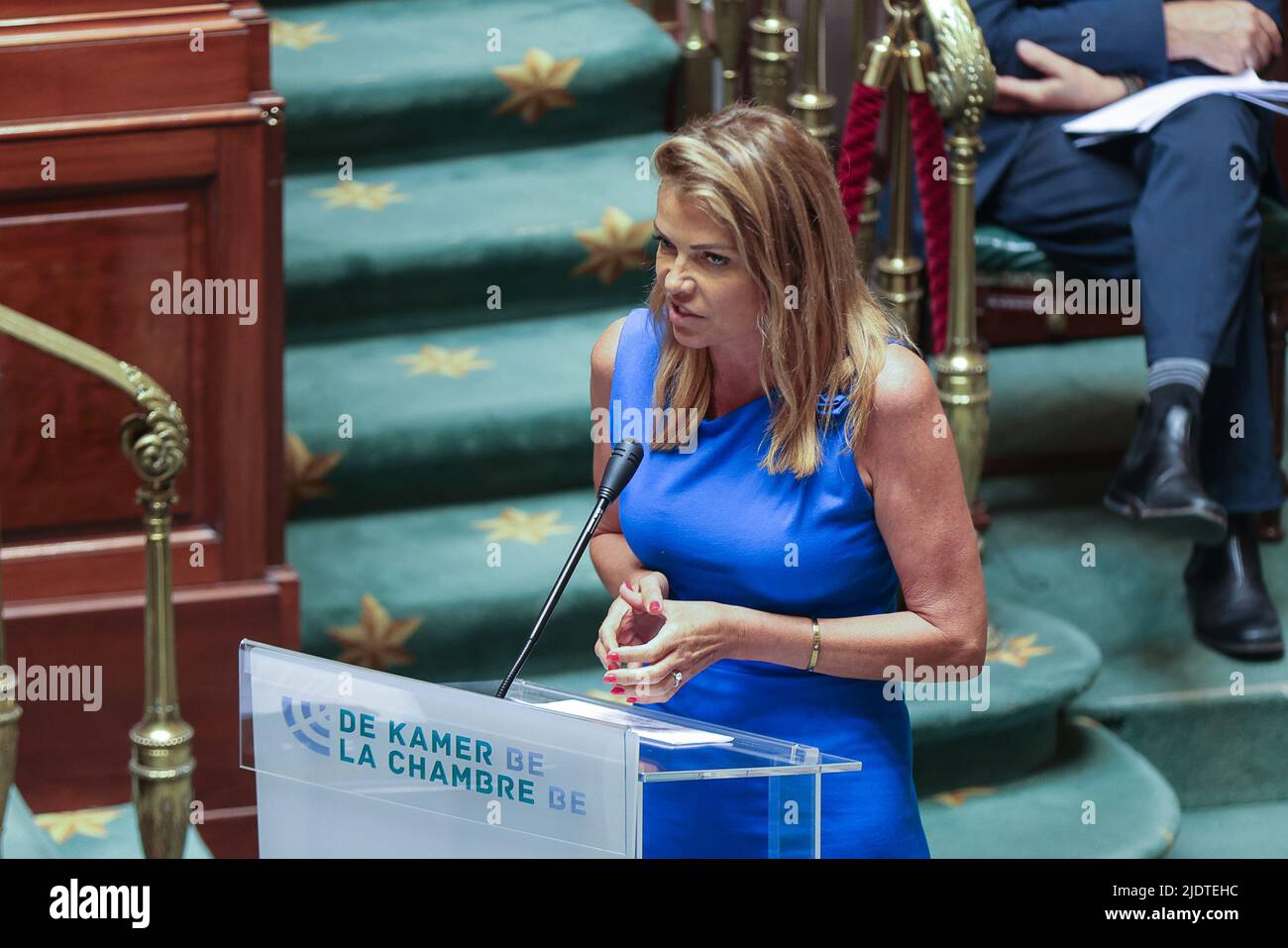 Open Vld's Goedele Liekens pictured during a plenary session of the ...