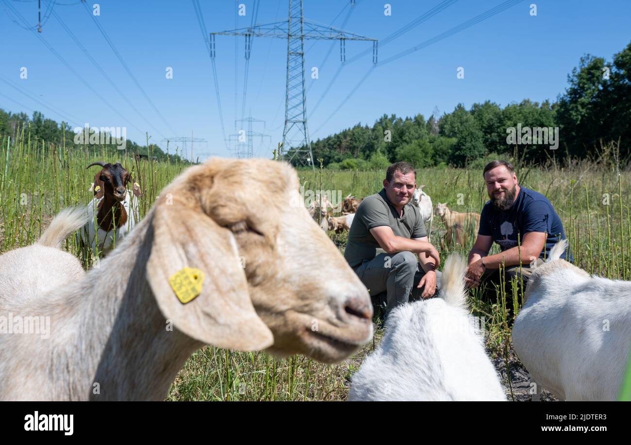 23 June 2022, Saxony, Borna: Martin Graichen (r) and Christian ...