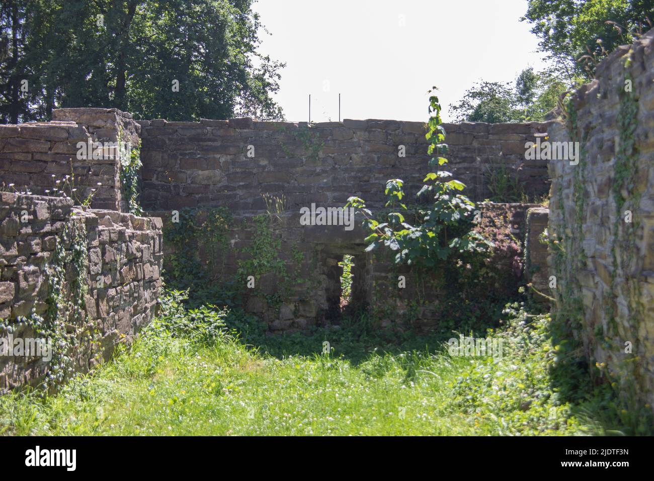 Fortress Ruins in Blankenberg Germany Stock Photo - Alamy