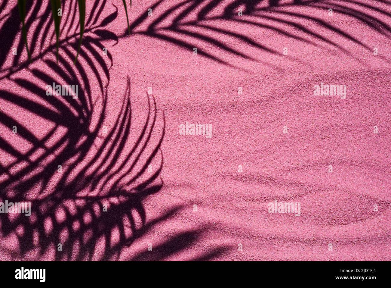 Pink sand texture. Sandy beach with palm shadow for product background ...