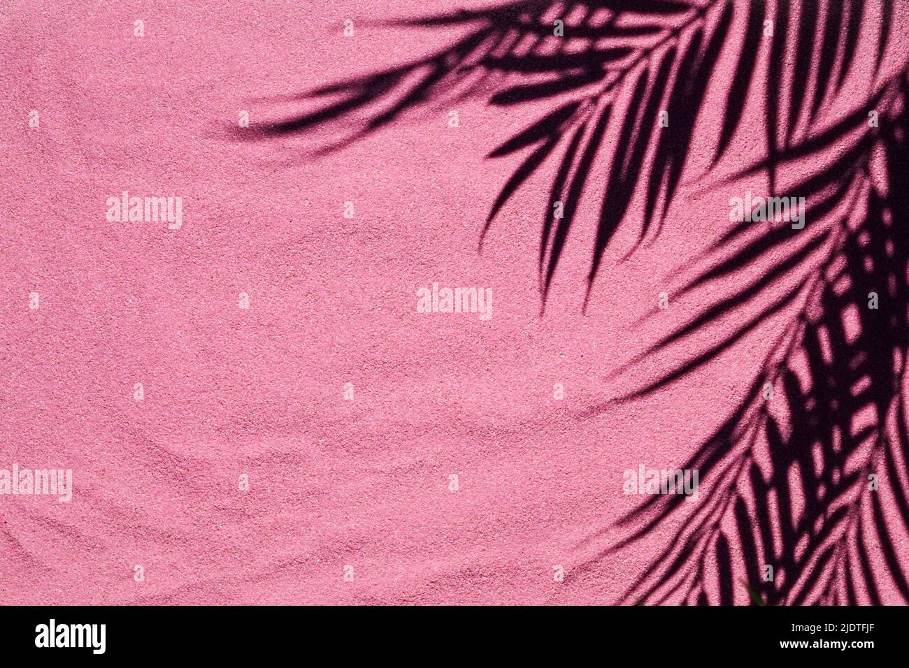 Pink sand texture. Sandy beach with palm shadow for product background ...