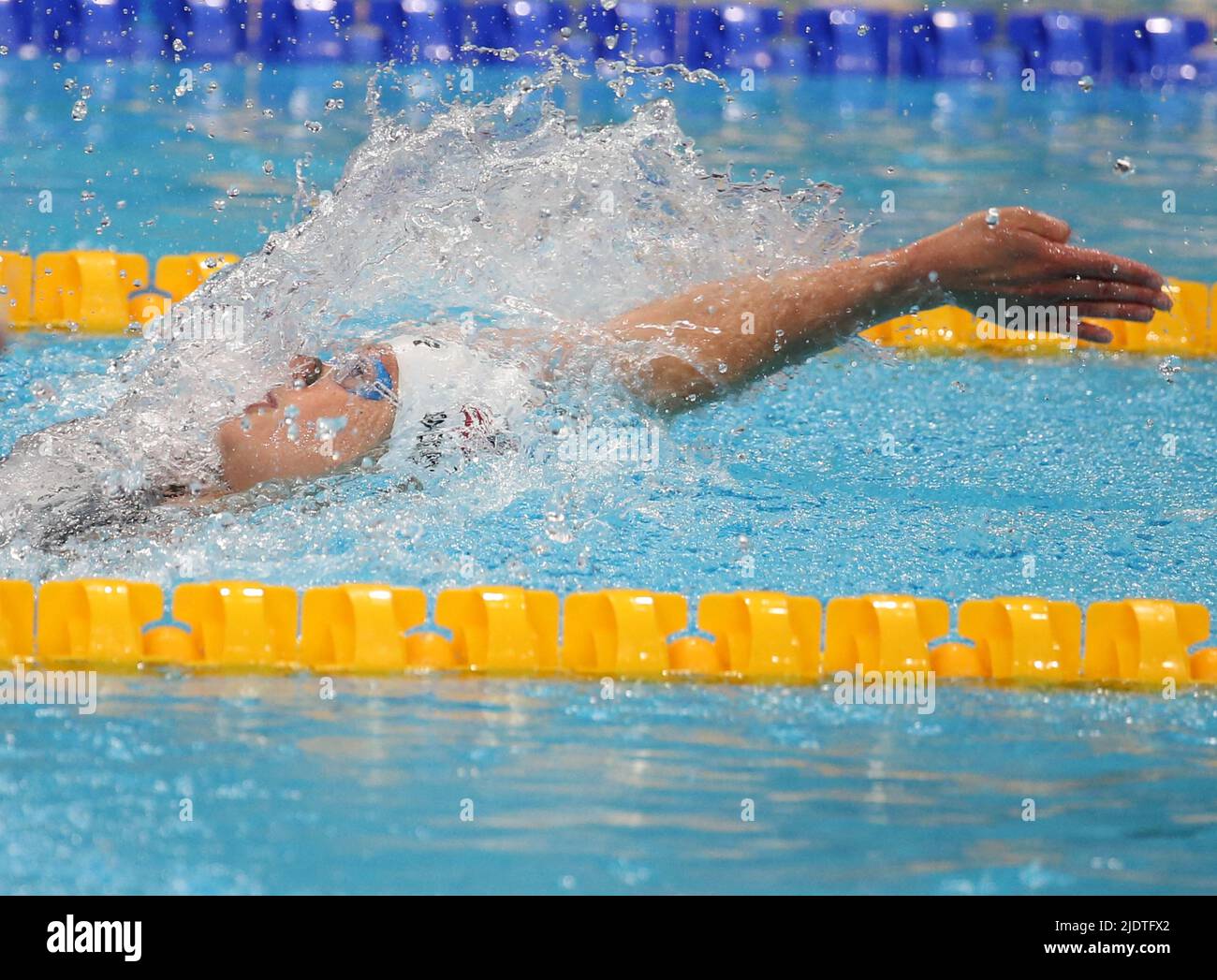 Phoebe bacon hi-res stock photography and images - Alamy