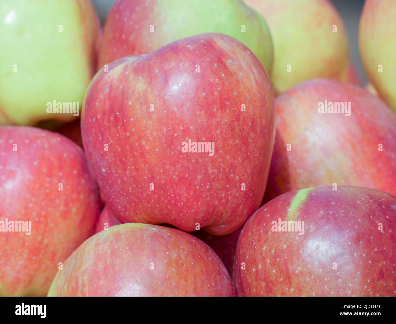 Indian apples hi-res stock photography and images - Alamy