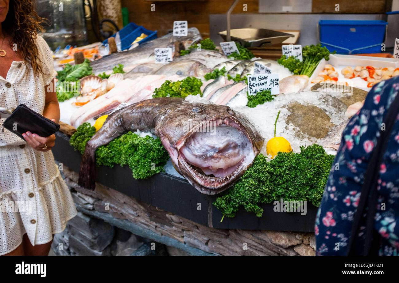 Lophius linnaeus monkfish hi-res stock photography and images - Alamy