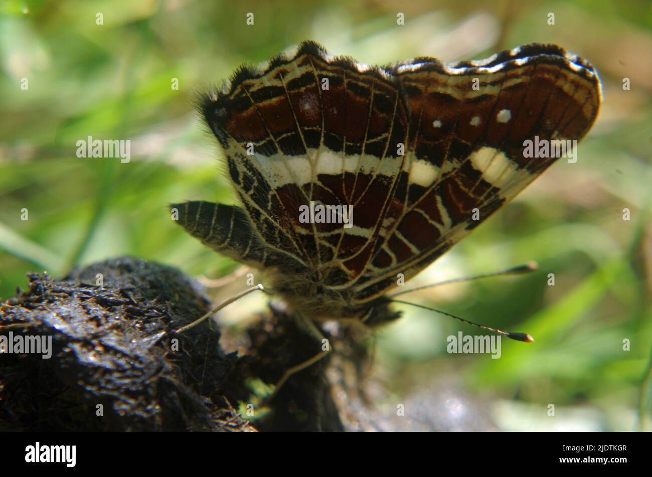 Hessia germany hi-res stock photography and images - Alamy