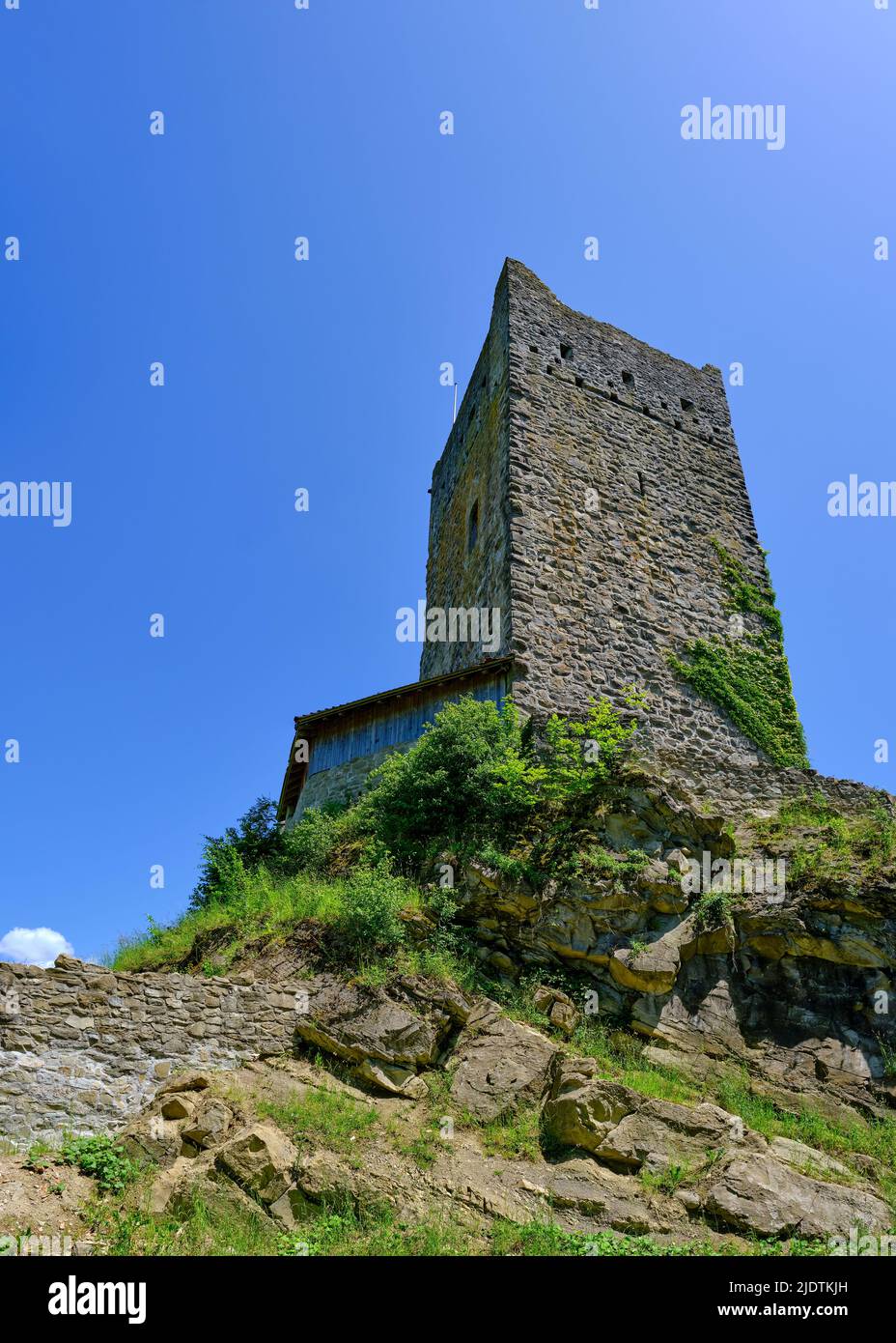 Medieval Sulzberg Castle ruins in the Upper Allgaeu region near Kempten ...