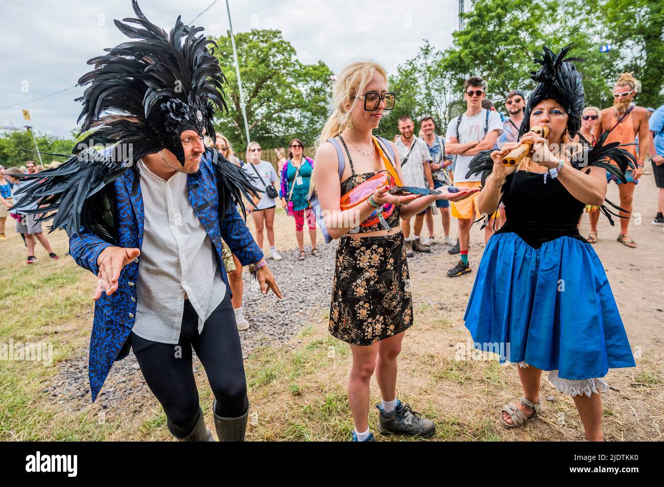 Bell magpies hi-res stock photography and images - Alamy