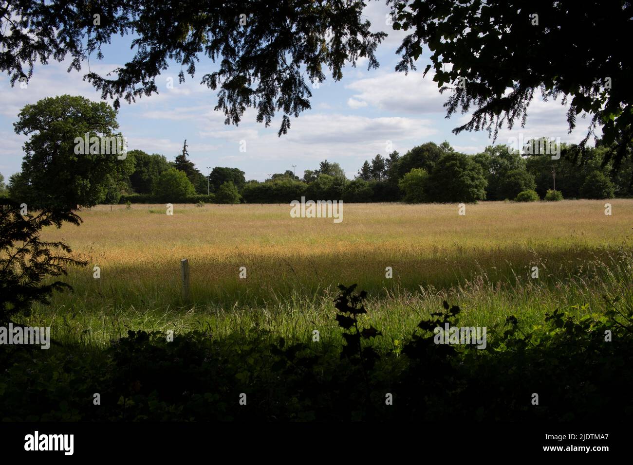 The Park Grass experiment, one of the long-term or classical ...