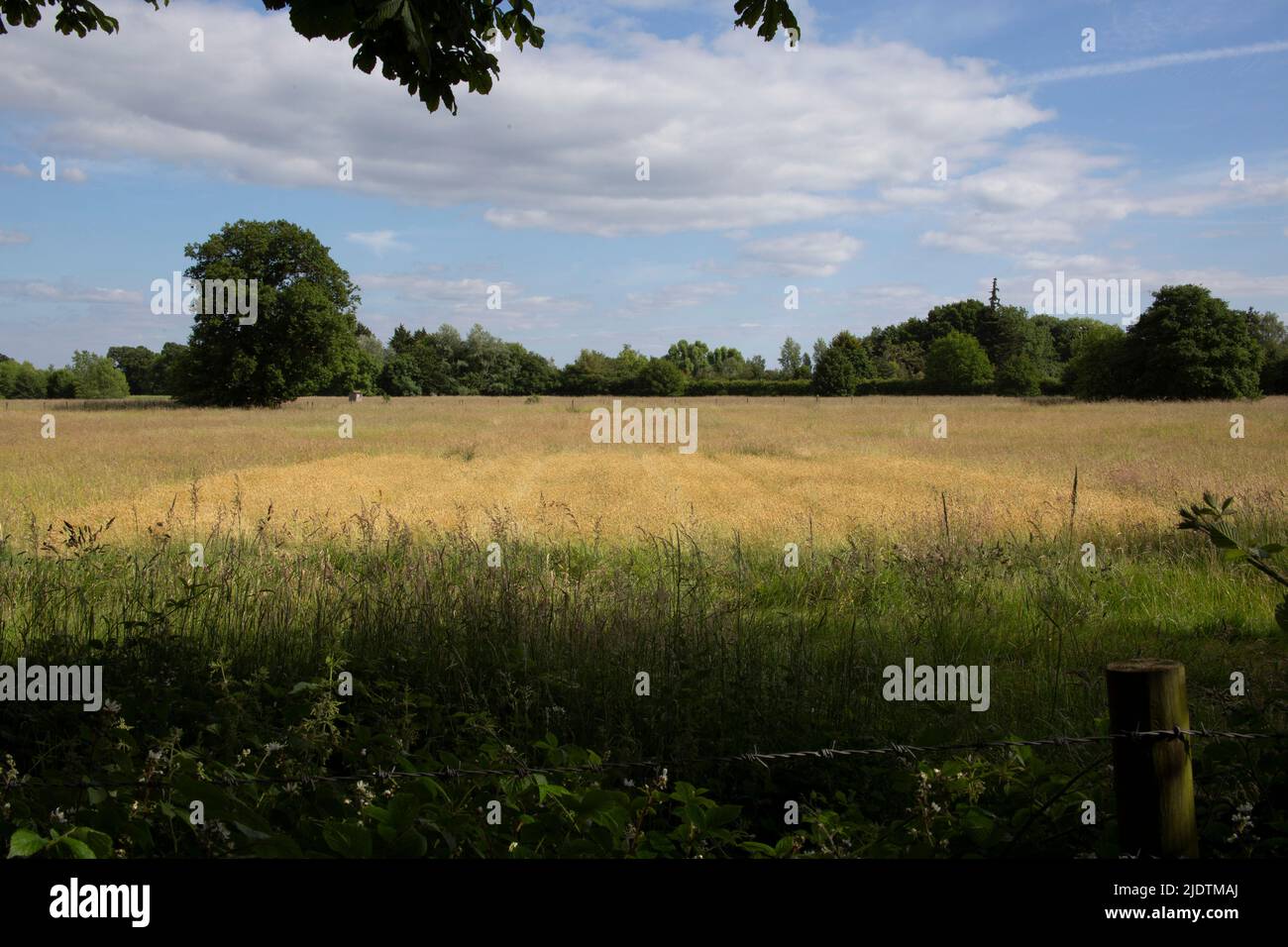The Park Grass experiment, one of the long-term or classical ...