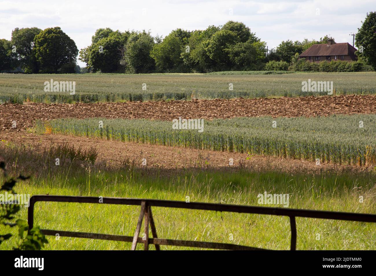 Broadbalk field hi-res stock photography and images - Alamy