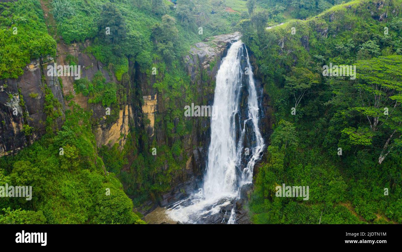 A beautiful waterfall among the rainforest and vegetation. Devon Falls ...